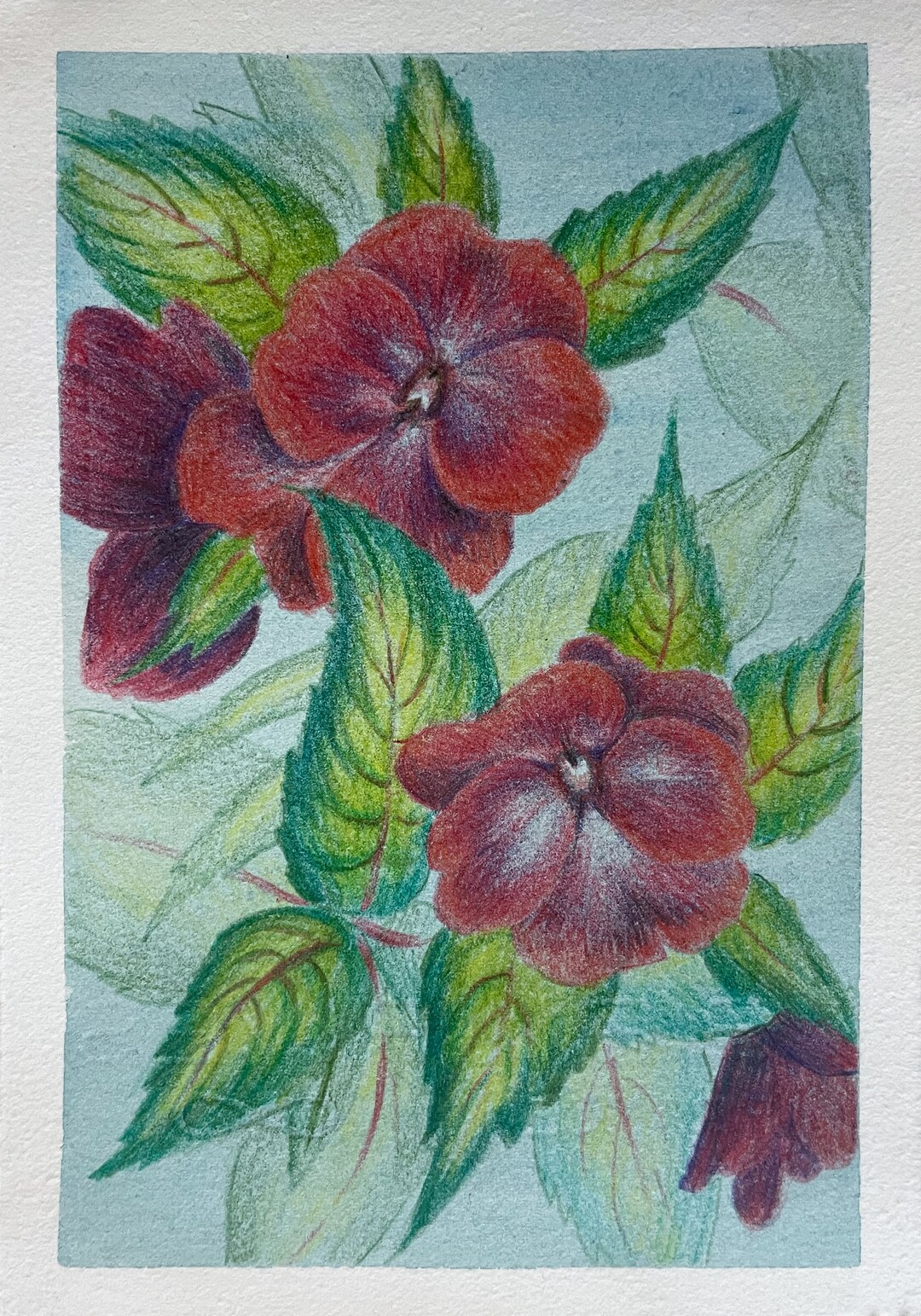 Small Flower Art - Original Colored Pencil Drawing of Red Flowers - Etsy