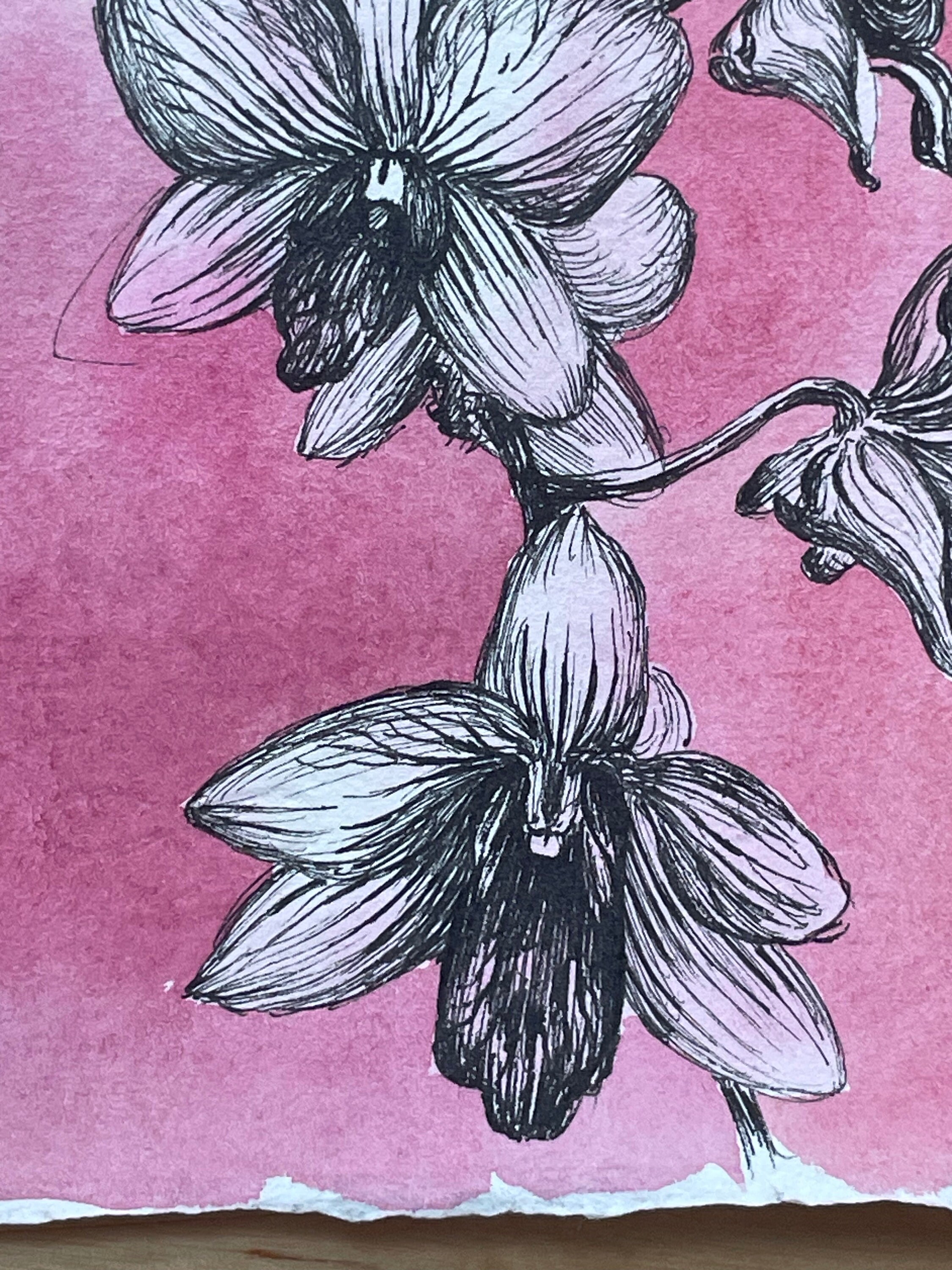 Original Pen and Ink Drawing of Pink Orchids - Etsy