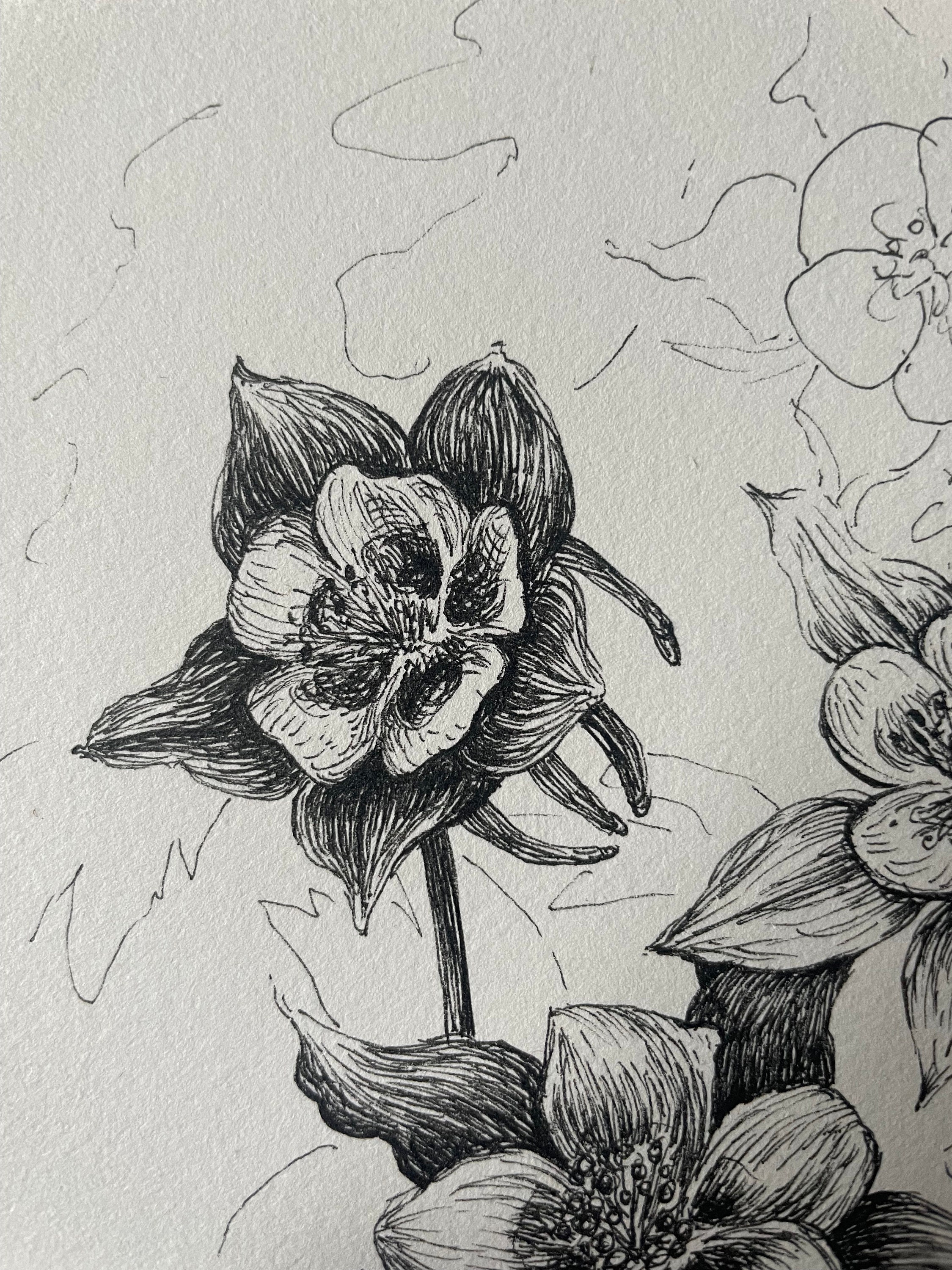 Mini Floral Wall Art -original Drawing of a Columbine Flower in Pen and ...