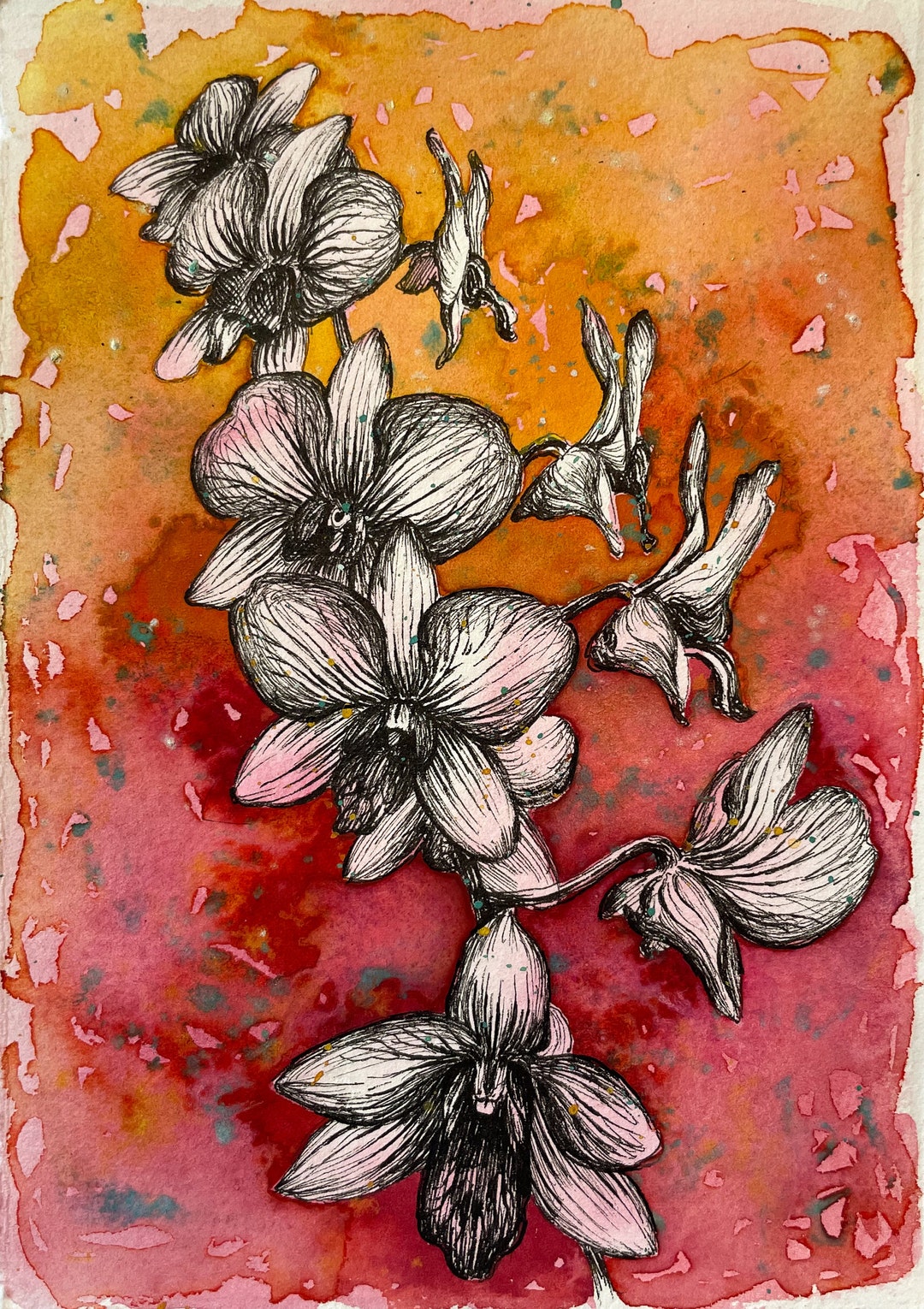 Original Pen and Ink Drawing of Pink Orchids - Etsy