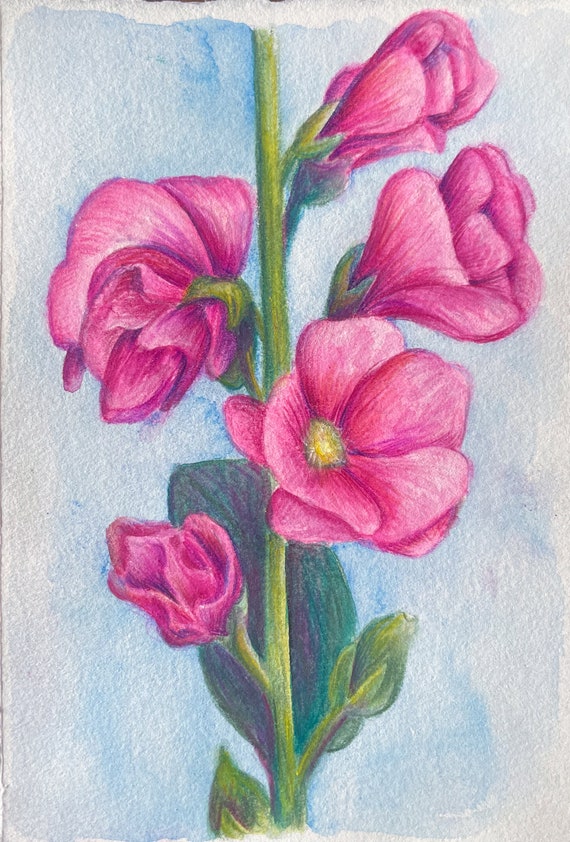 Easy Flower Drawing With Colour