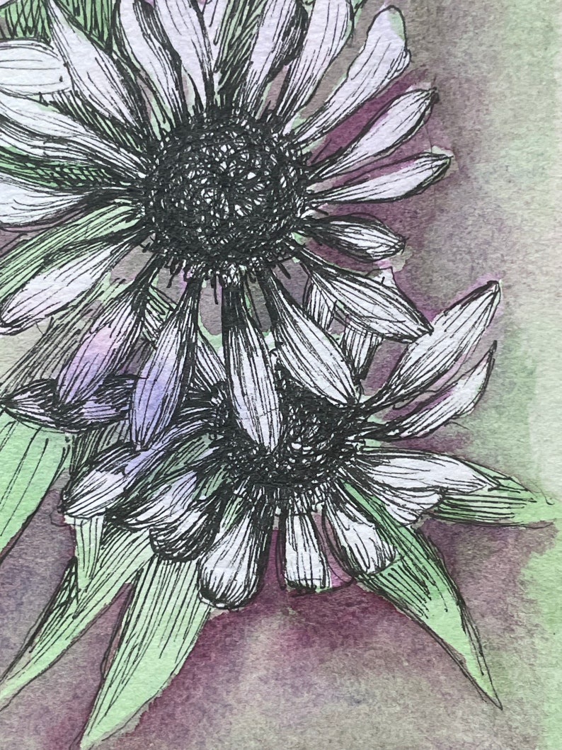 Original Pen and Ink Drawing of Daisies With Purple Watercolor Washes ...