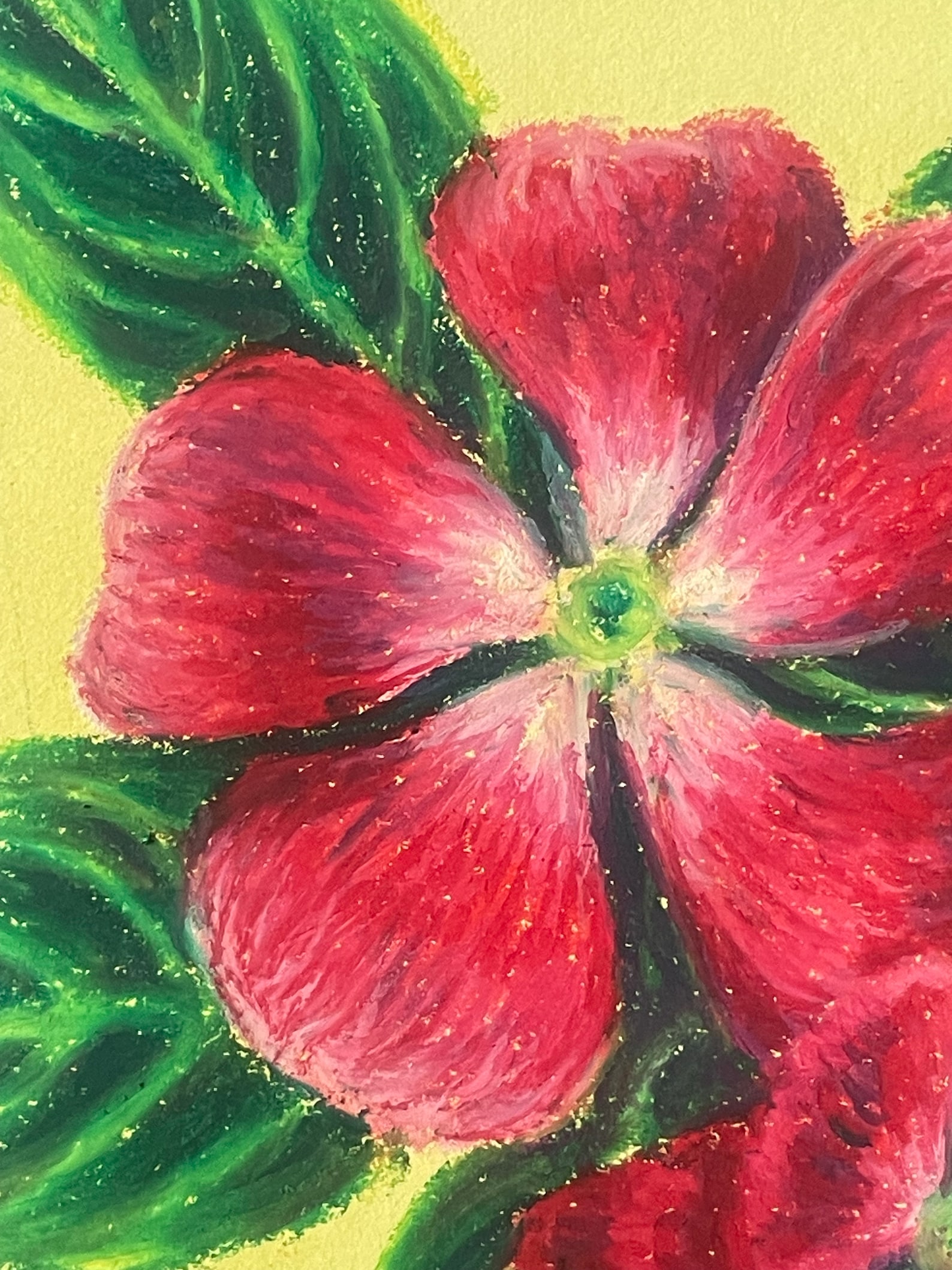 Original Oil Pastel Flower Drawing Etsy