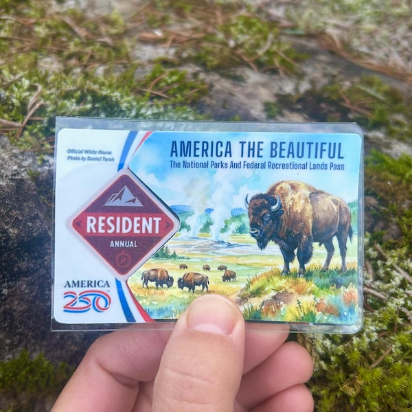 National Parks Pass Sleeve - Etsy