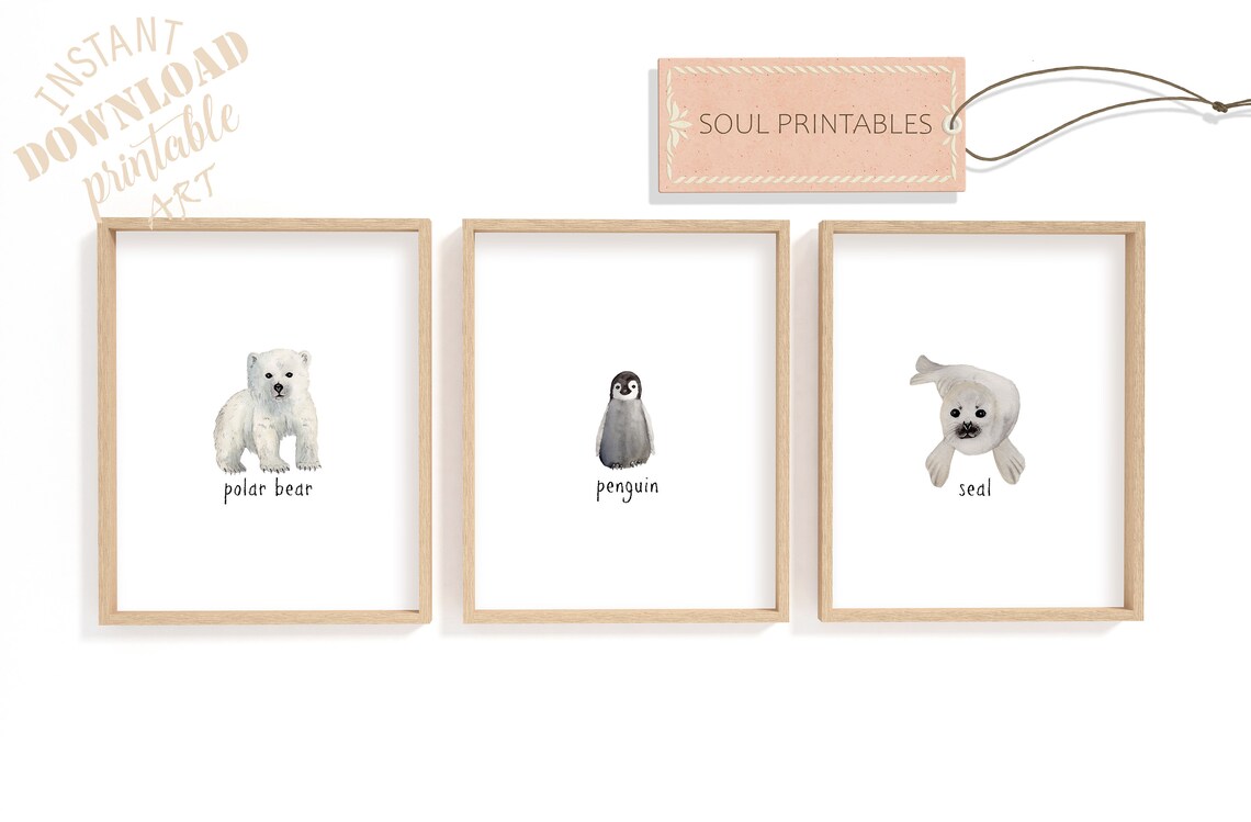 Arctic Animals Nursery Wall Art SET of 3 Polar Bear Seal | Etsy