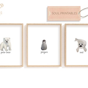 Arctic Animals Nursery Wall Art SET of 3 Polar Bear Seal - Etsy