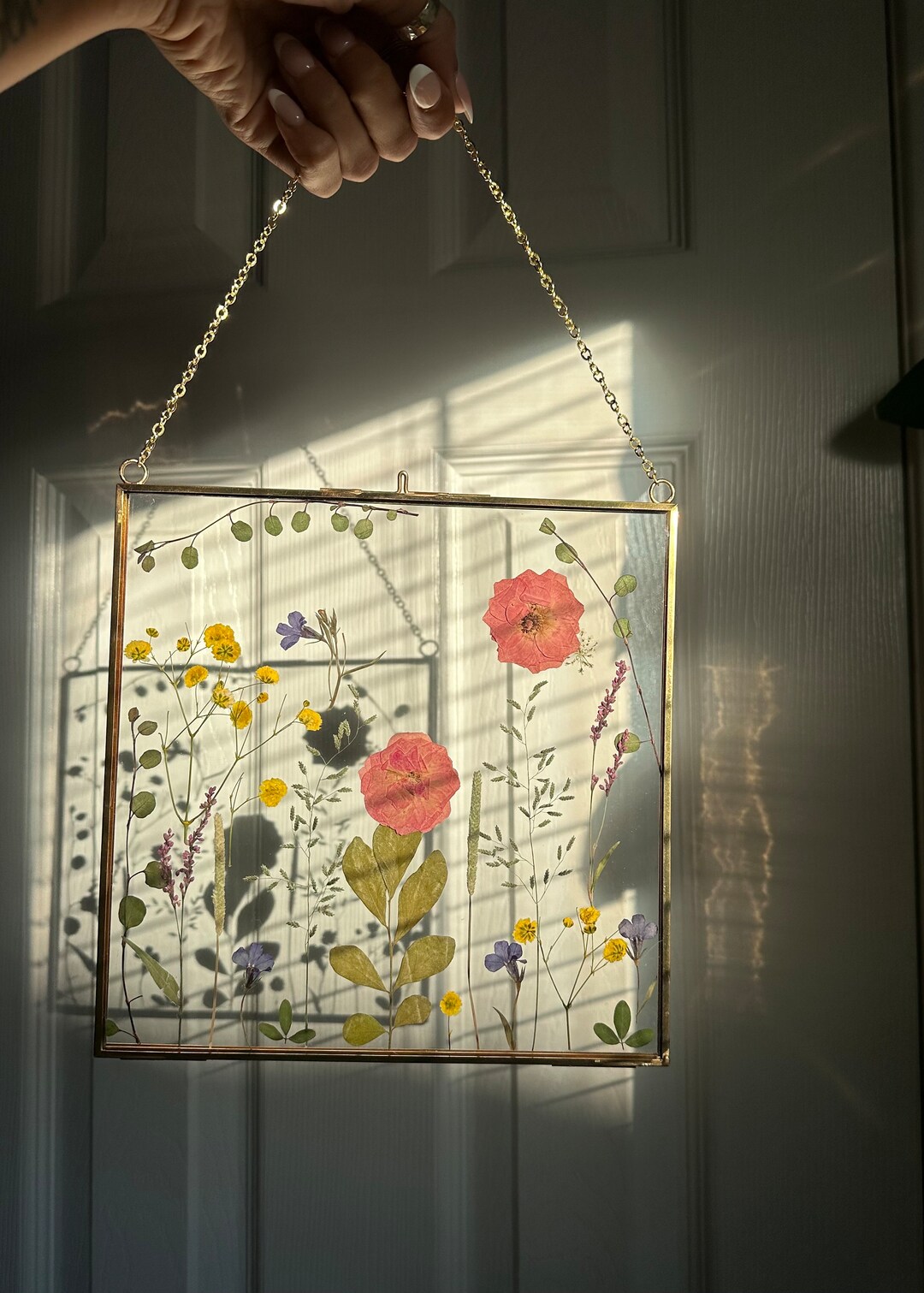 Real Pressed Flower Wall Hanging Frame Misc Green Foliage, Blue Lobelia ...