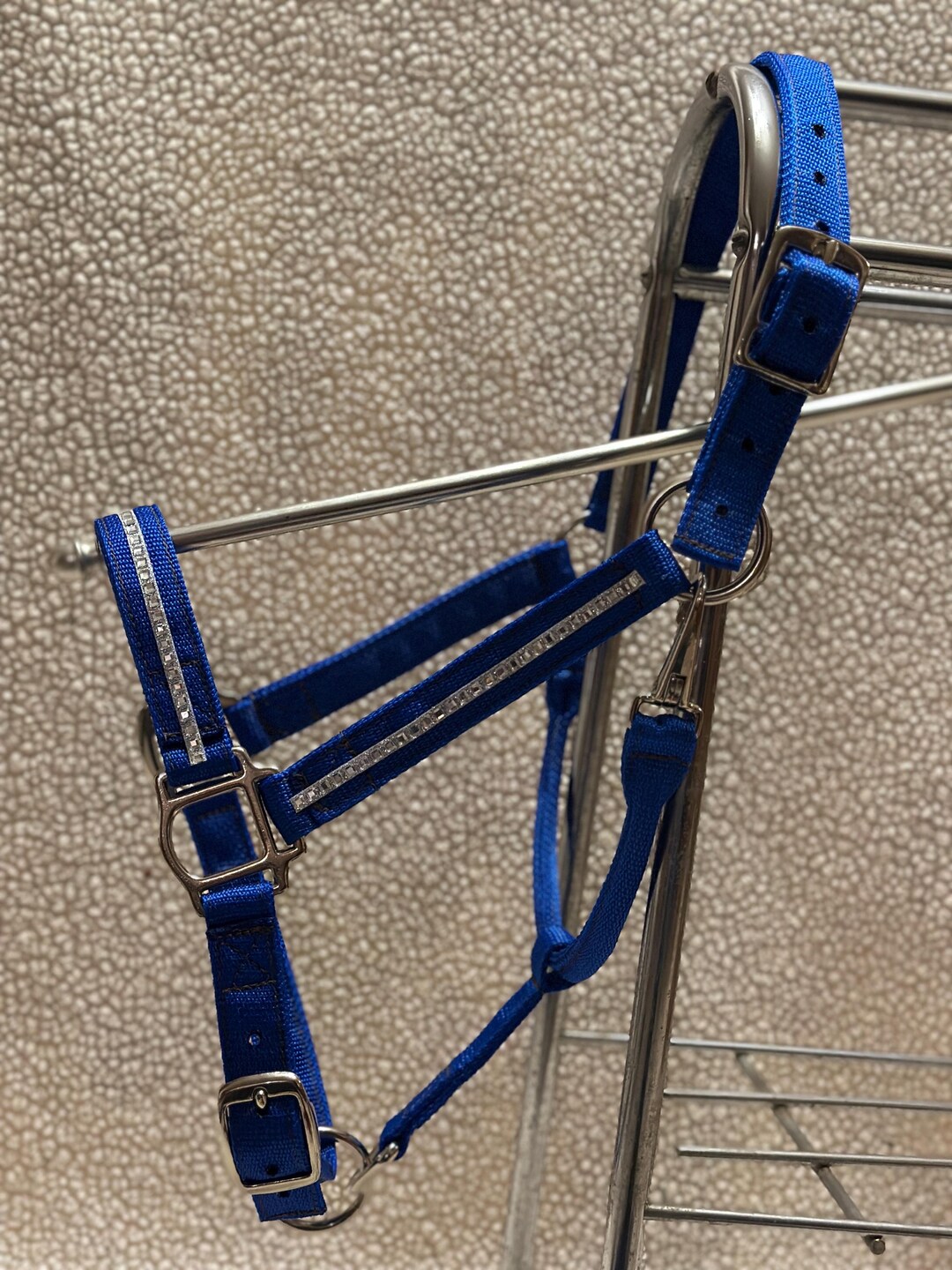 HORSE Halter, Light, Quarter Horse Show, Royal Blue - Etsy