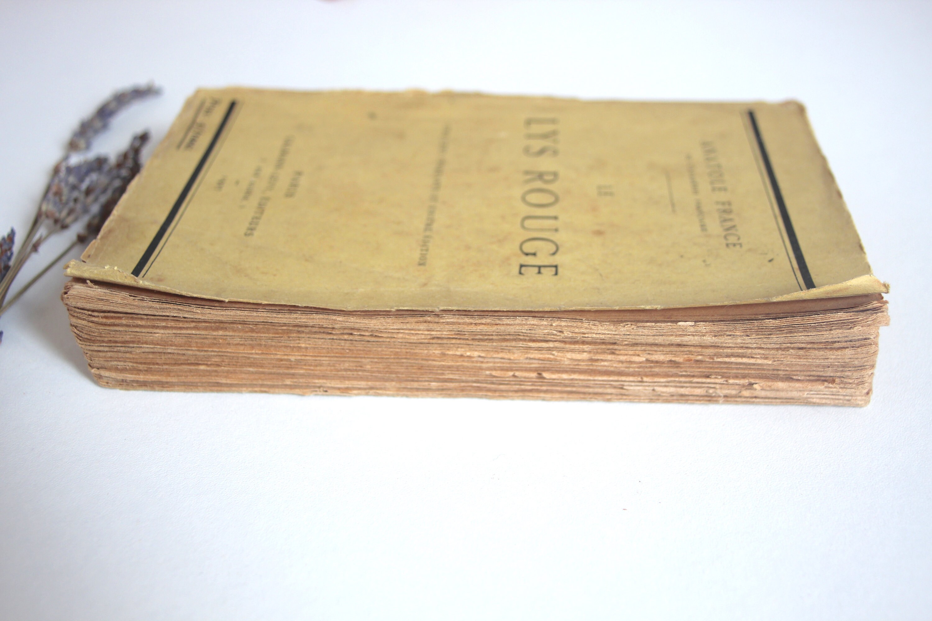 Vintage Book France Le Lys Rouge Anatole Paris French Academy - Etsy UK