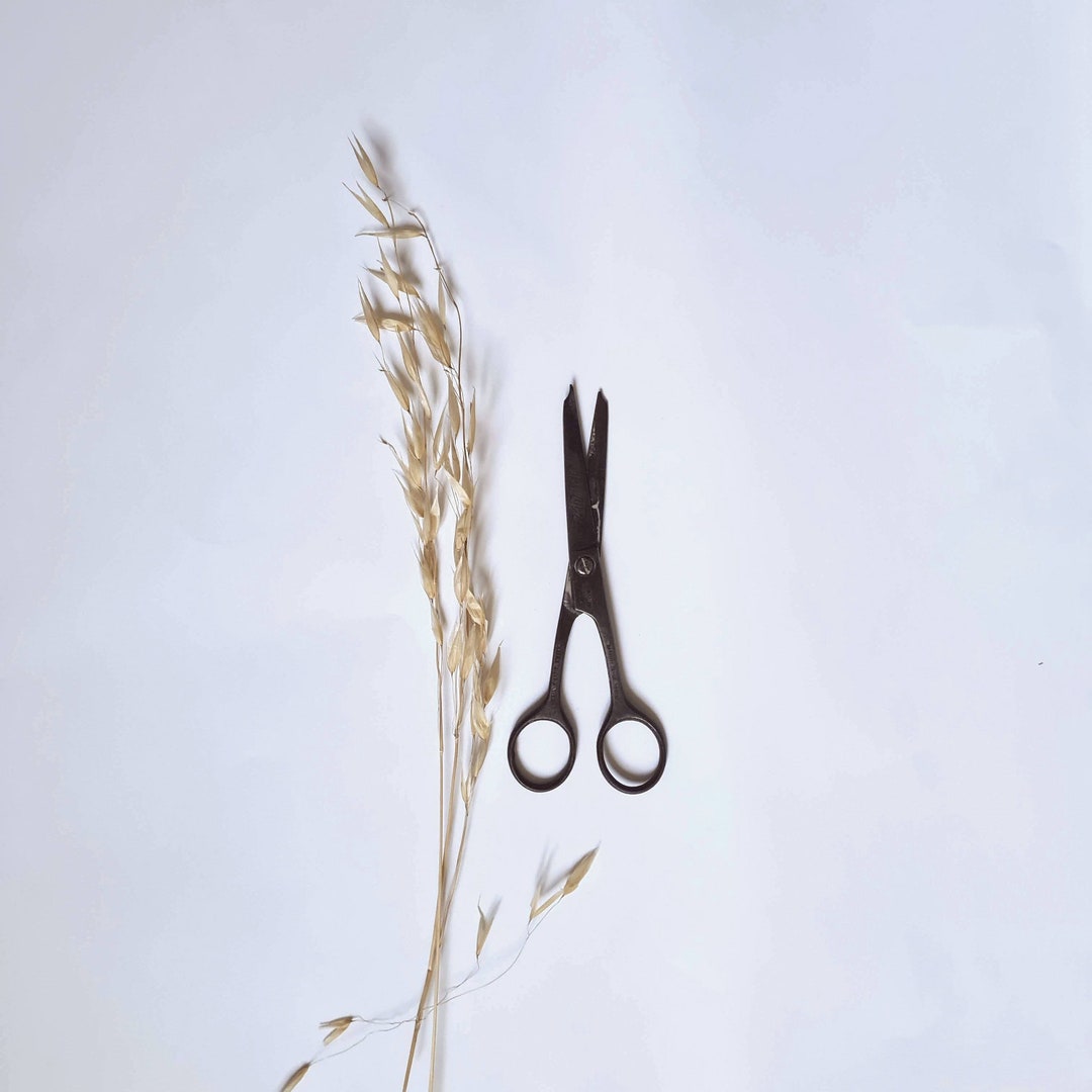 Vintage Pam 500 Nogent Scissors Made in France Cutting Tool Wrought ...