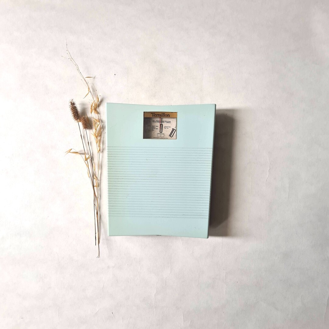 Vintage Scales Terraillon/mechanical Scale/with Needle/france French ...