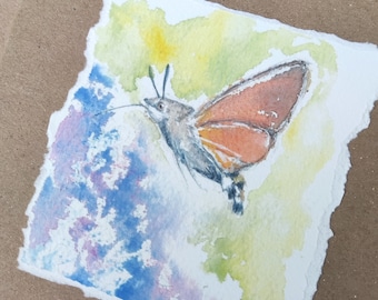 Hummingbird Hawk Moth - Etsy