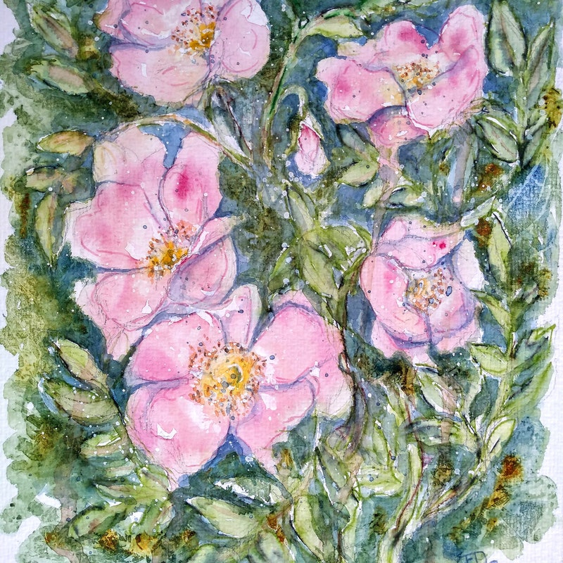 Wild Prairie Rose - Etsy