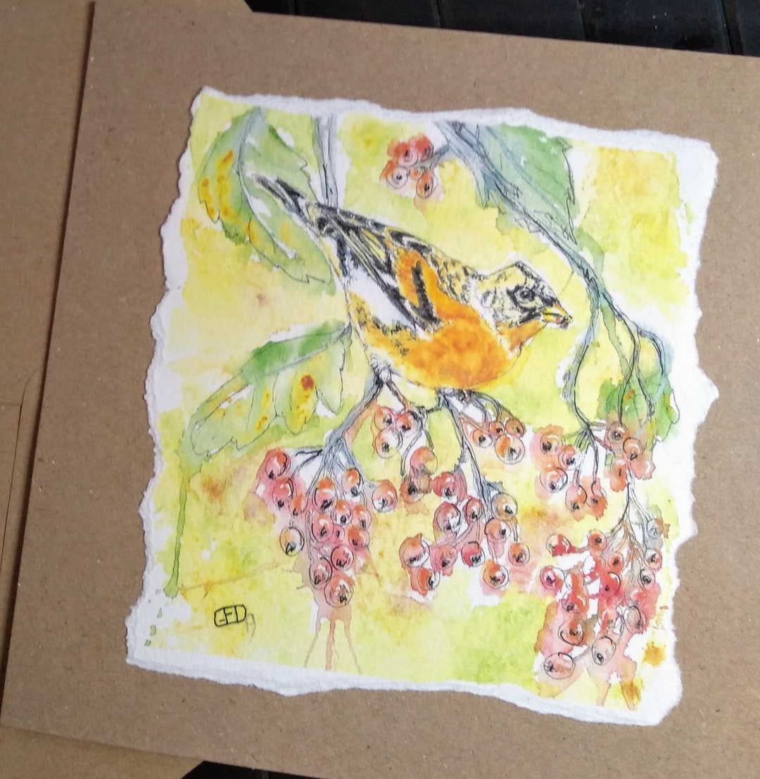 Brambling Wild Bird Blank Greetings Card From My Original Watercolour ...