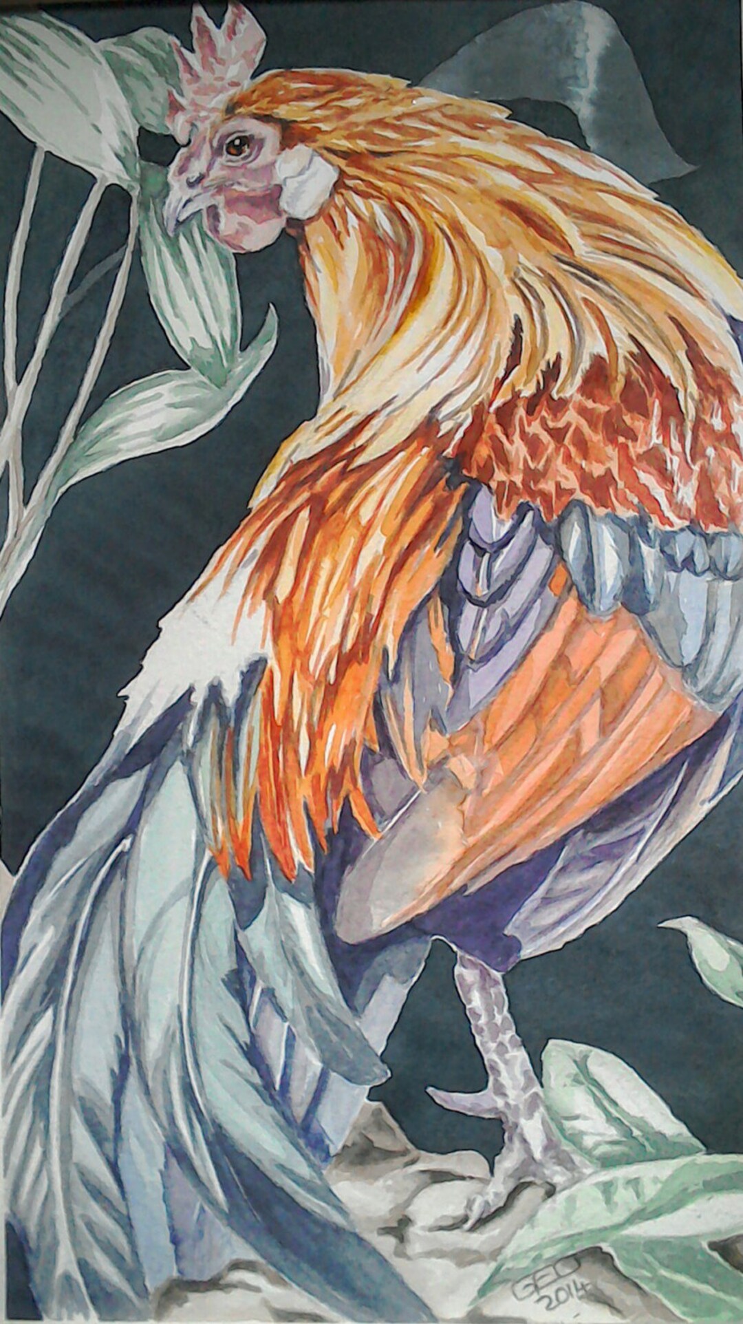 Cockerel Painting Watercolour Original Rooster Art of Wild Jungle Fowl ...