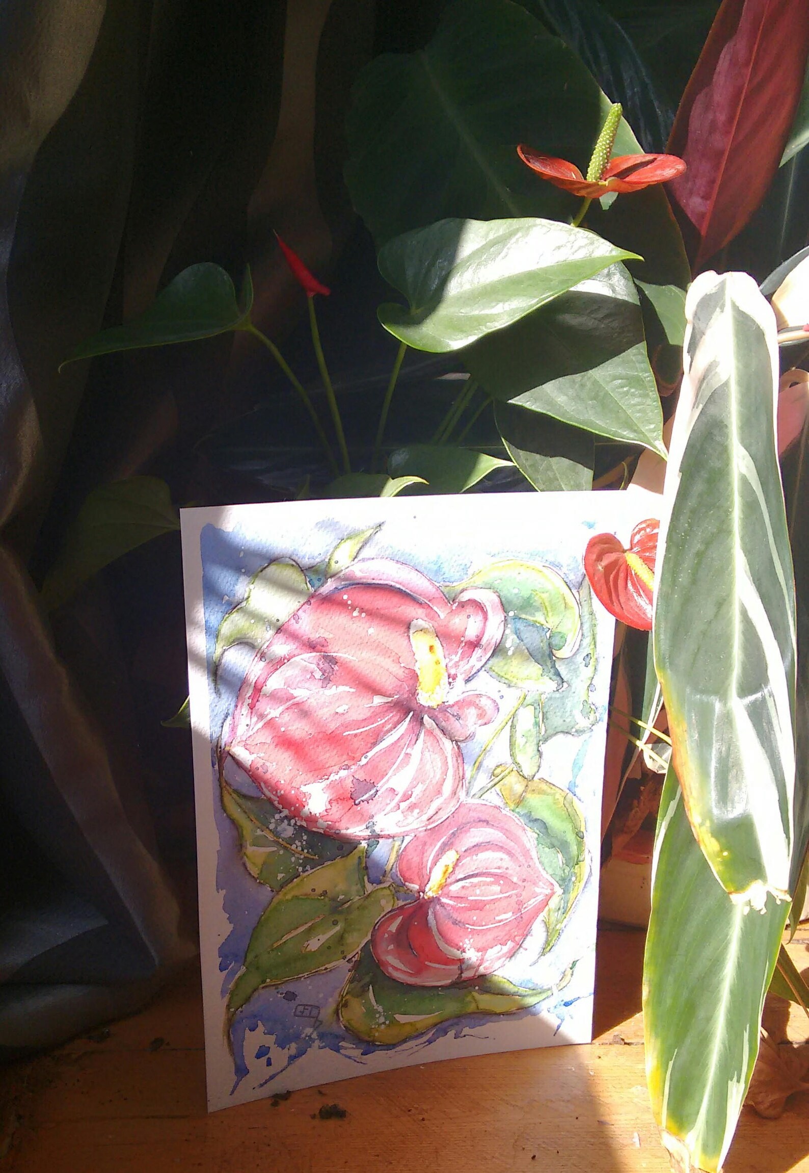 Original Anthurium Painting Flower Art Watercolour of Red Flowers, a ...