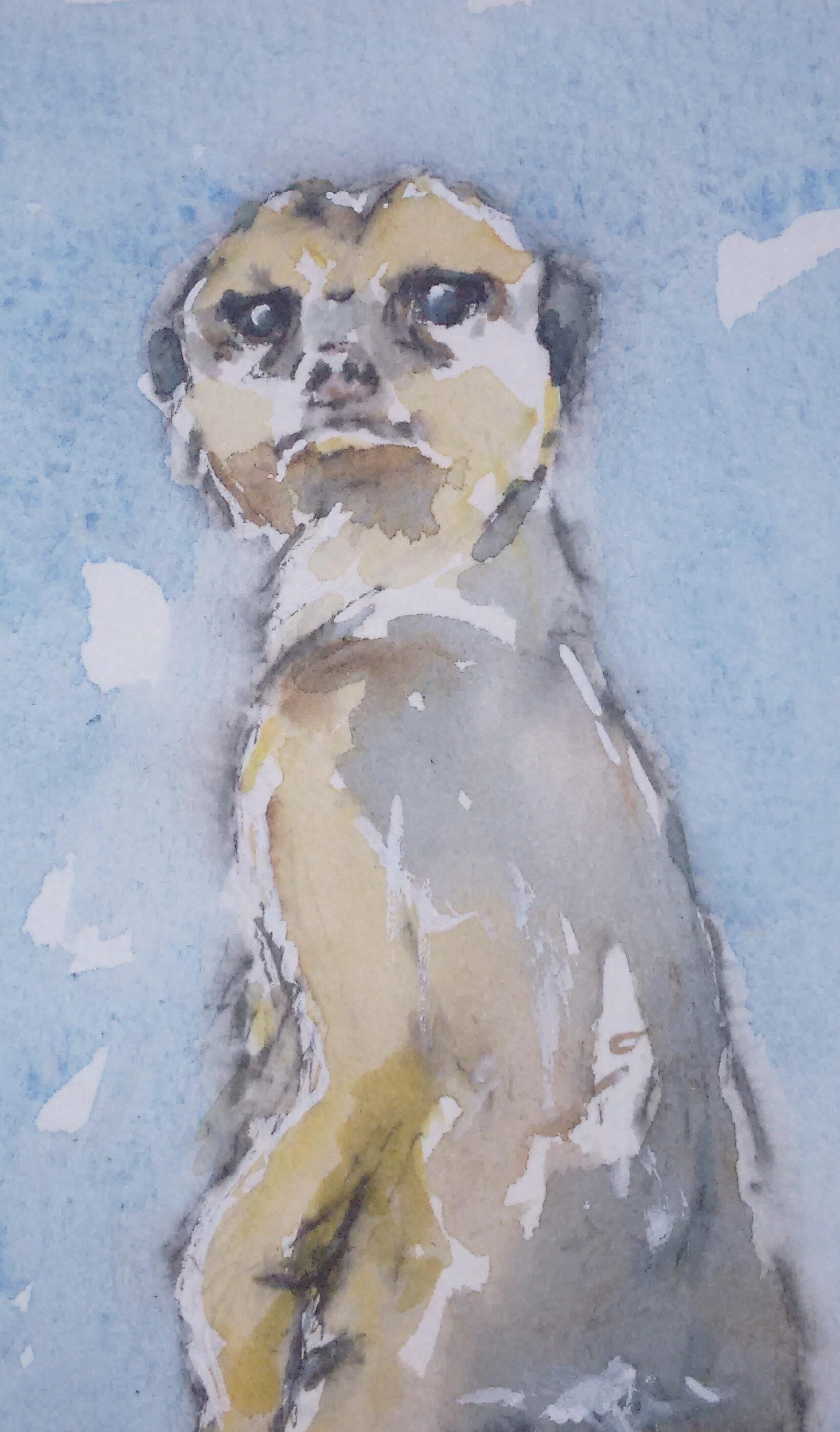 Meerkat Art, an Original Watercolour and Pen Wildlife Painting of a ...