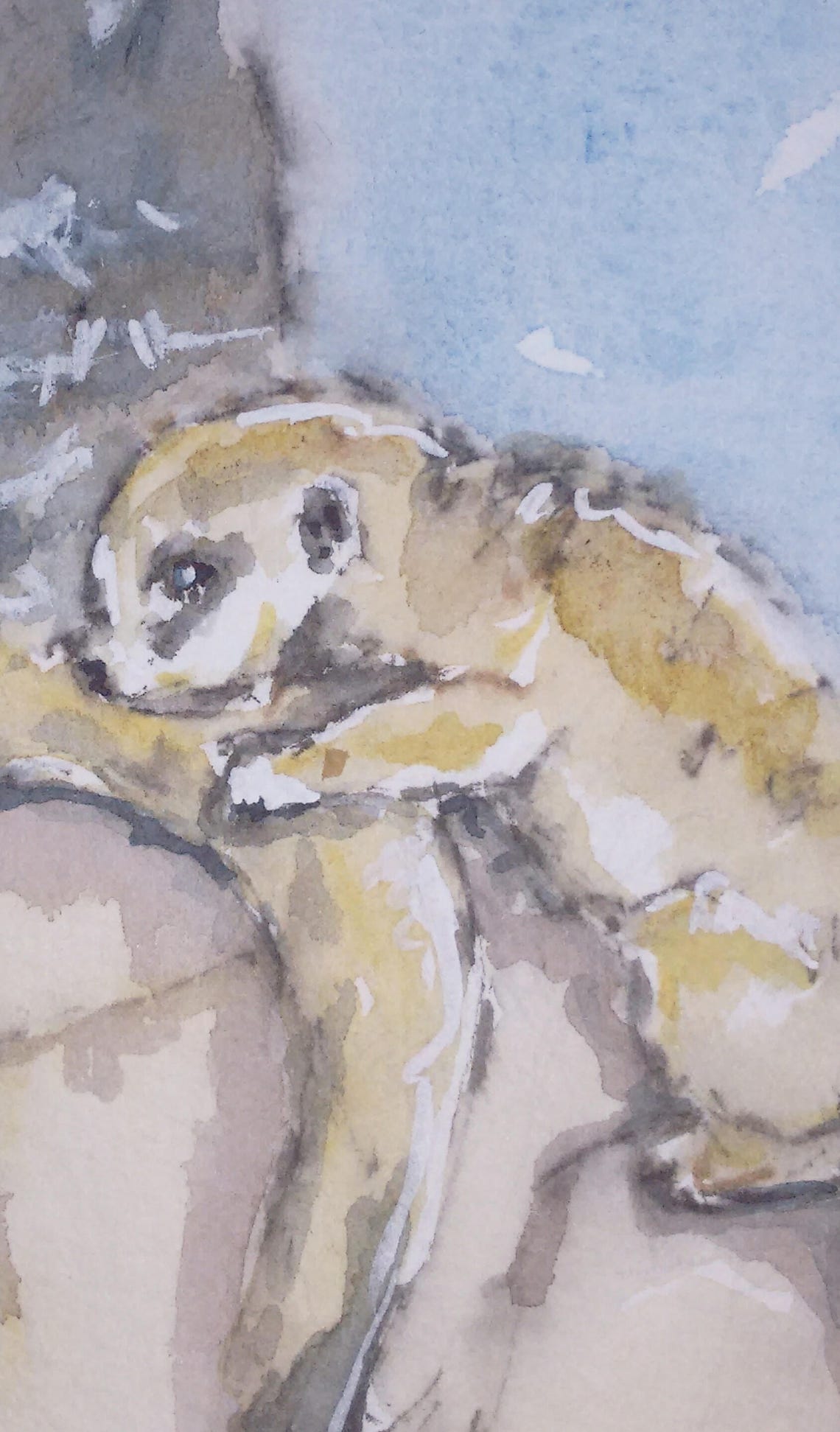 Meerkat Art, an Original Watercolour and Pen Wildlife Painting of a ...