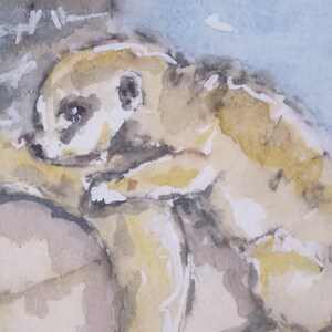Meerkat Art, an Original Watercolour and Pen Wildlife Painting of a ...