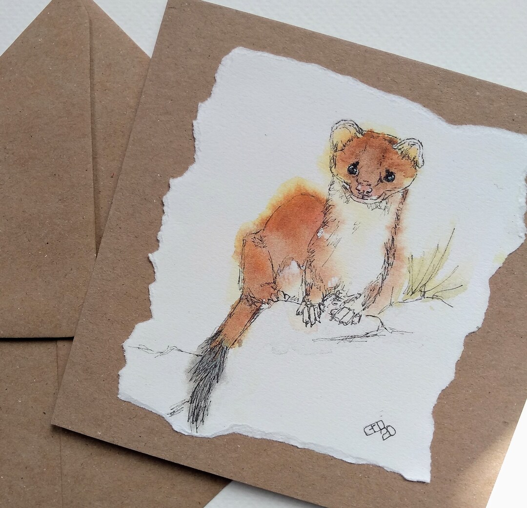 Stoat Blank Birthday Card, Weasel Greetings Card for Him, Her, Father's ...