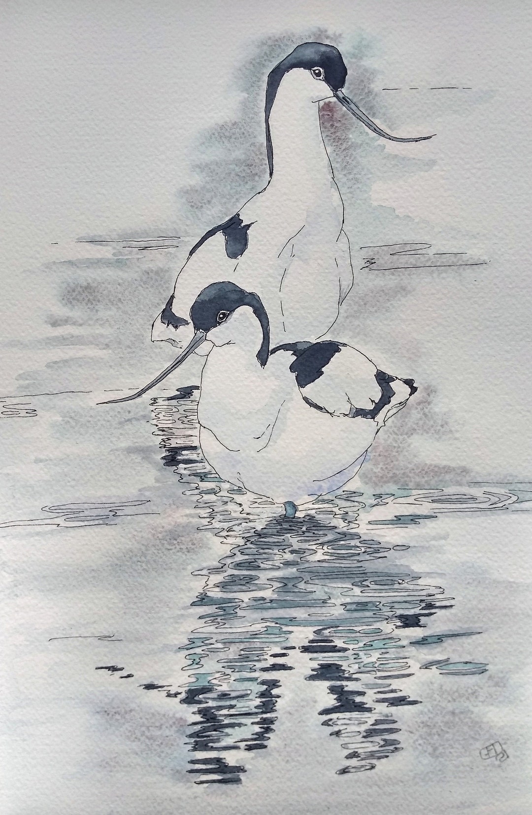Avocet Painting Original Art, Watercolour British Bird Wall Art, an ...
