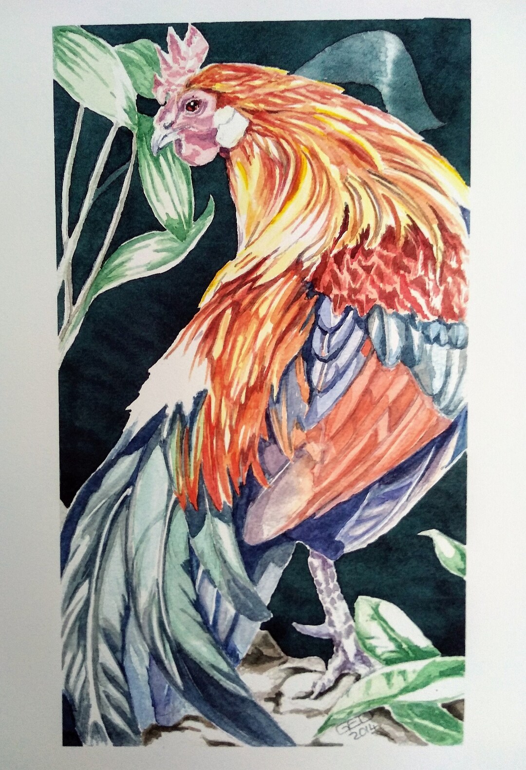 Cockerel Limited Edition Giclee Print From Watercolour, Colourful ...