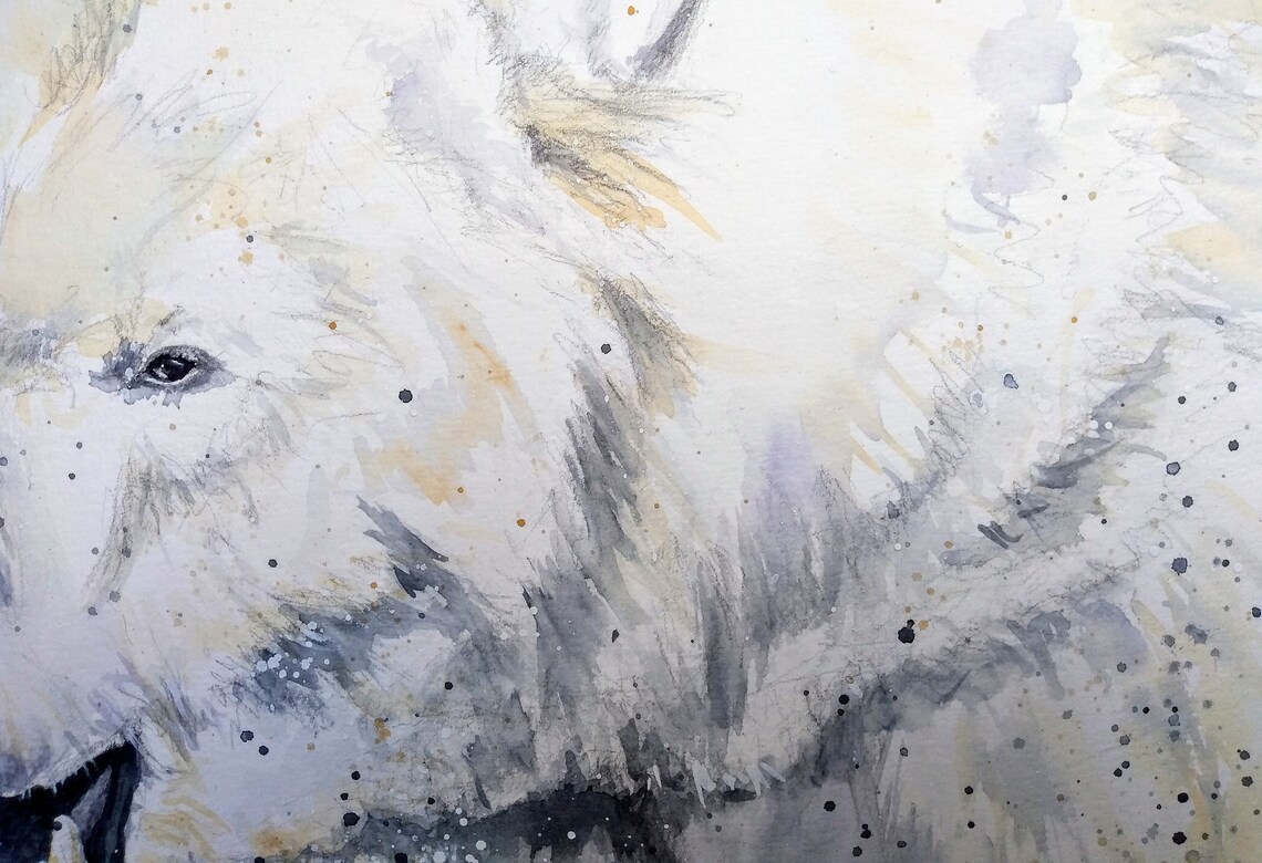 Polar Bear Original Watercolour Painting, Realistic Bear Artwork ...