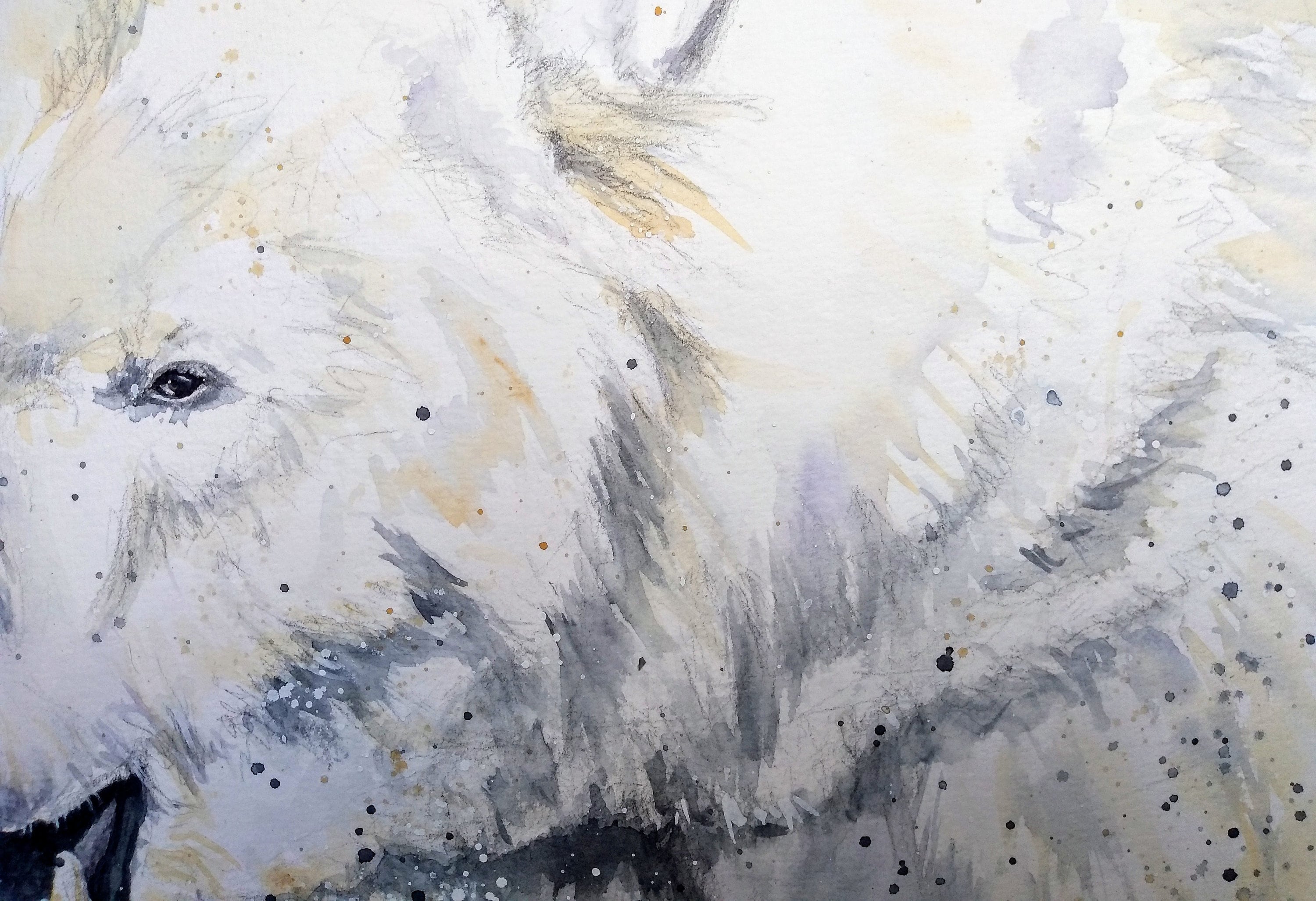 Polar Bear Original Watercolour Painting, Realistic Bear Artwork ...