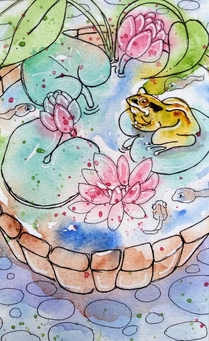 Frog and Water Lilies in a Barrel Pond, Small Watercolour and Pen ...