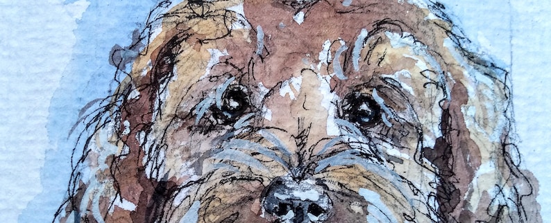 Cockapoo Watercolour Painting Original Small Dog Artwork in - Etsy