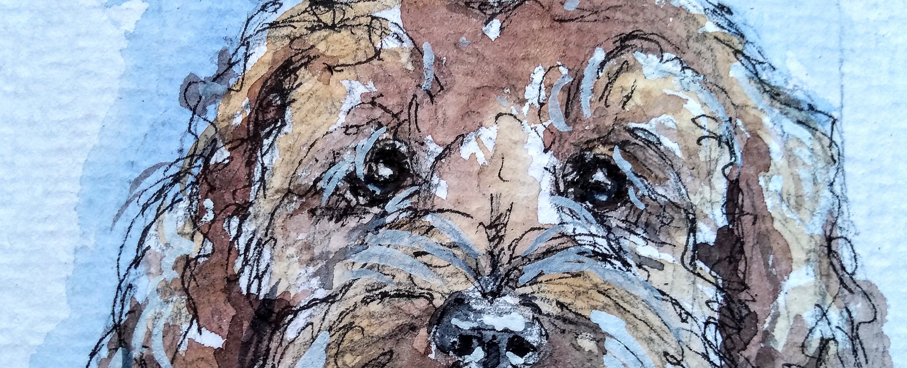 Cockapoo Watercolour Painting, Original Small Dog Artwork in ...