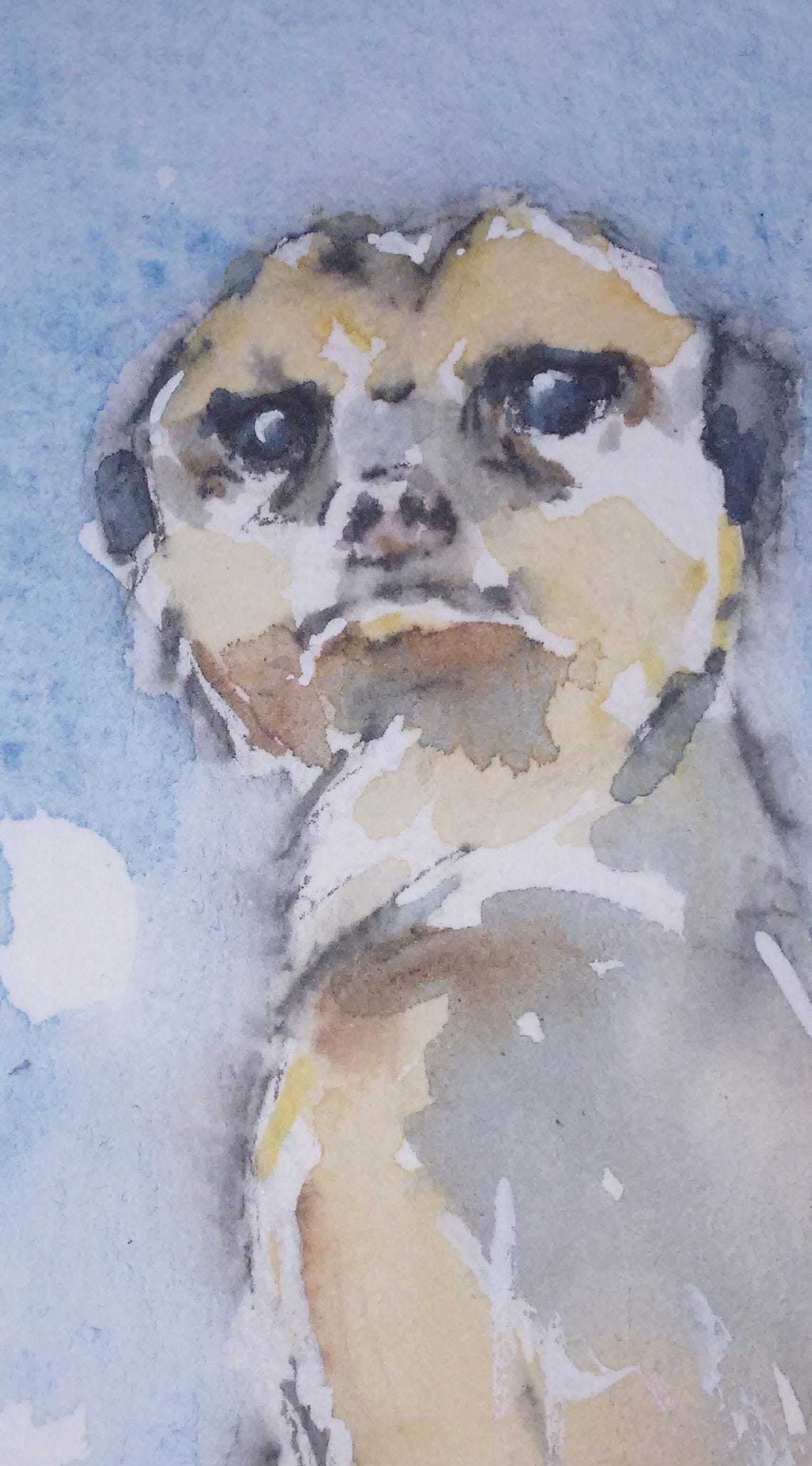 Meerkat Art an Original Watercolour and Pen Wildlife Painting | Etsy