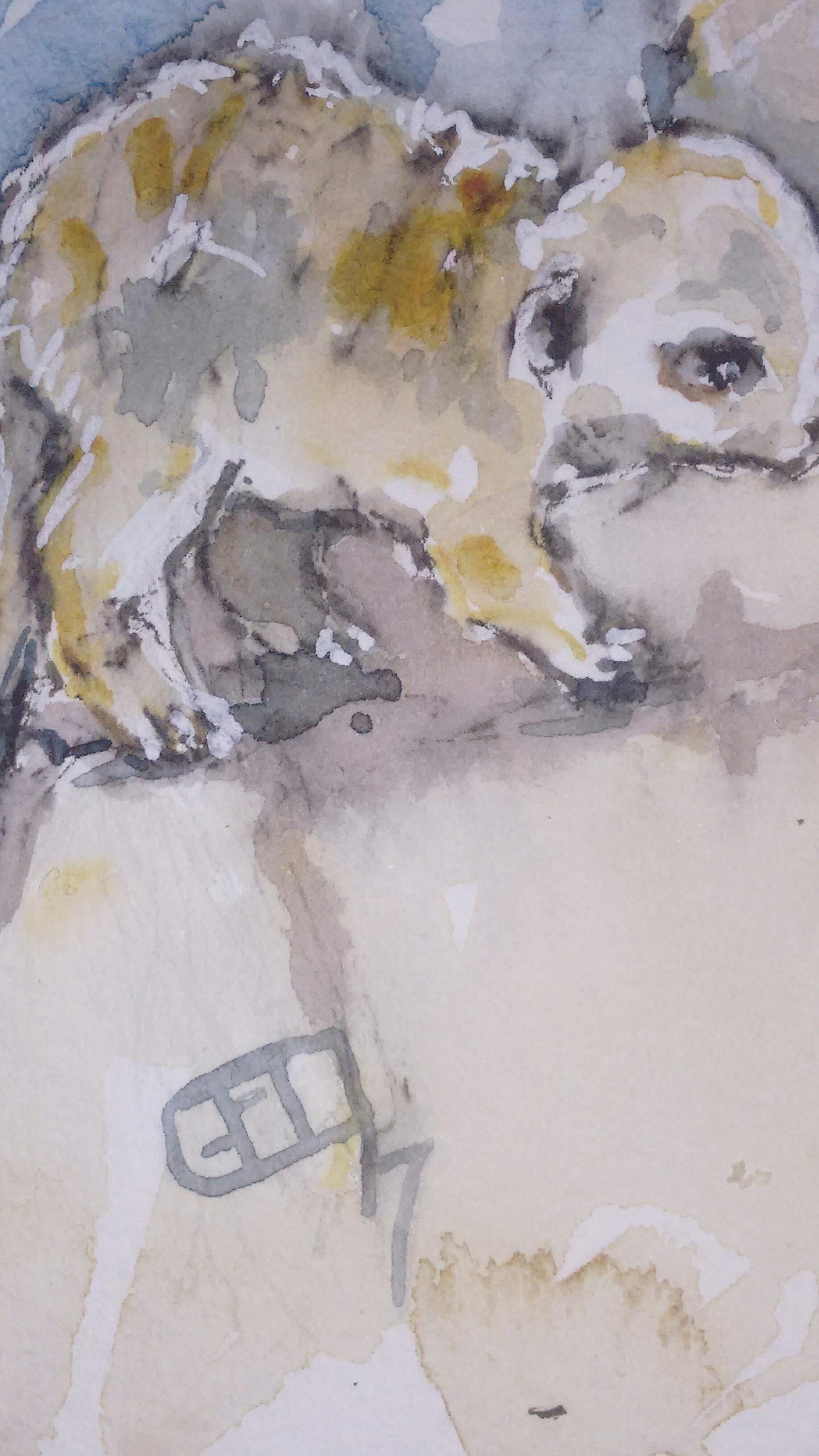 Meerkat Art an Original Watercolour and Pen Wildlife Painting - Etsy