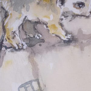 Meerkat Art, an Original Watercolour and Pen Wildlife Painting of a ...