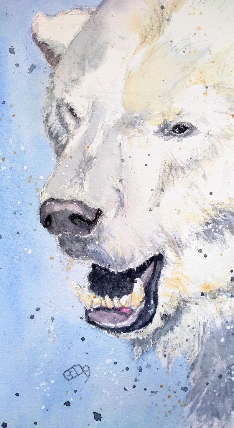 Polar Bear Original Watercolour Painting, Realistic Bear Artwork ...