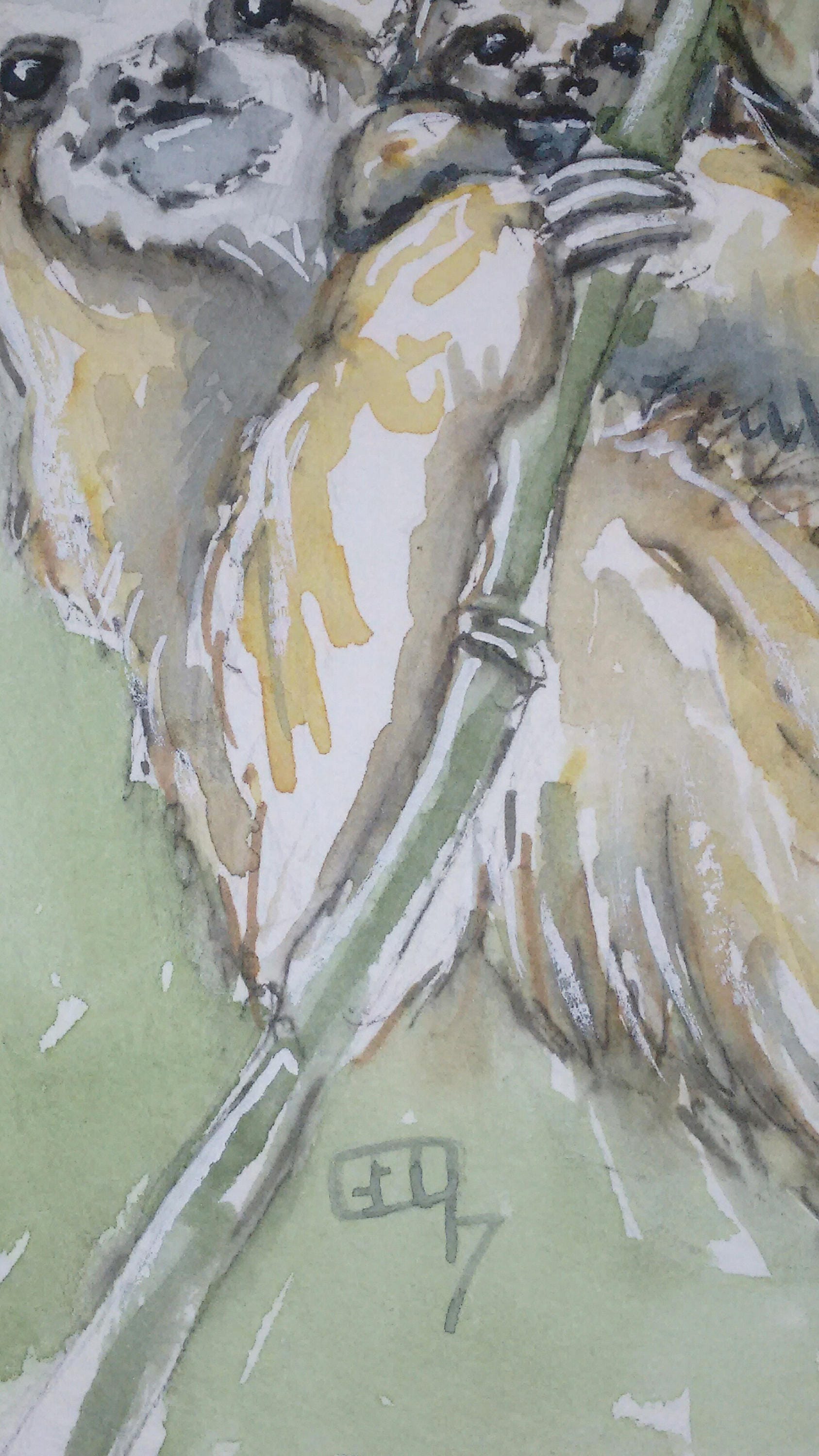 Sloth Painting Original Watercolour Wall Art of Wildlife, an Original ...