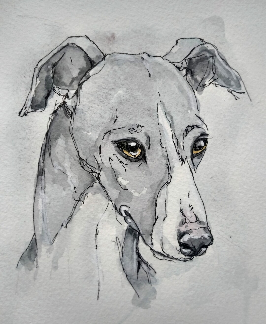 Original Watercolour Painting of a Whippet, Expressive Pet Portrait ...