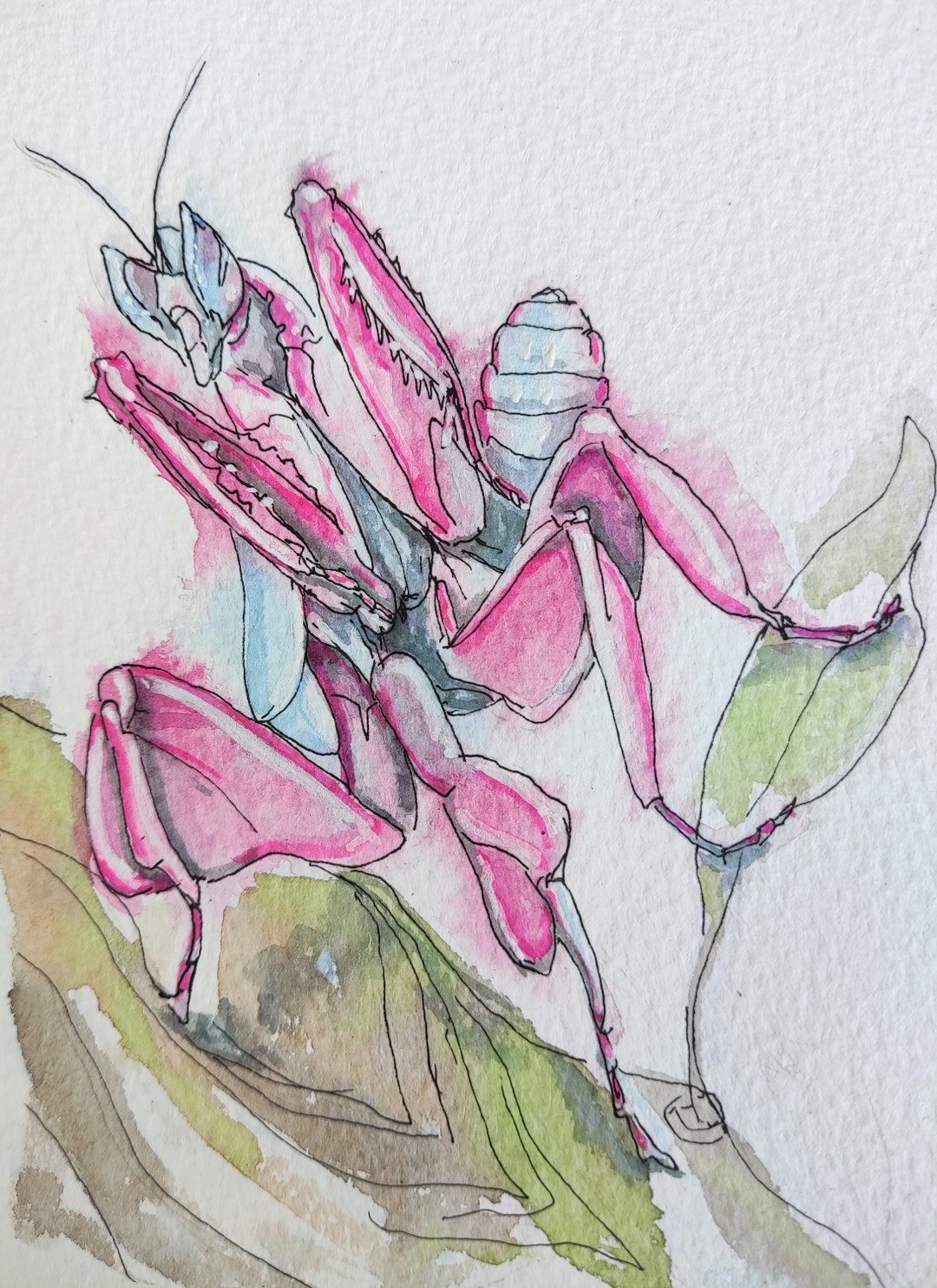 Orchid Flower Mantis Original Small Abstract Painting in Watercolour ...