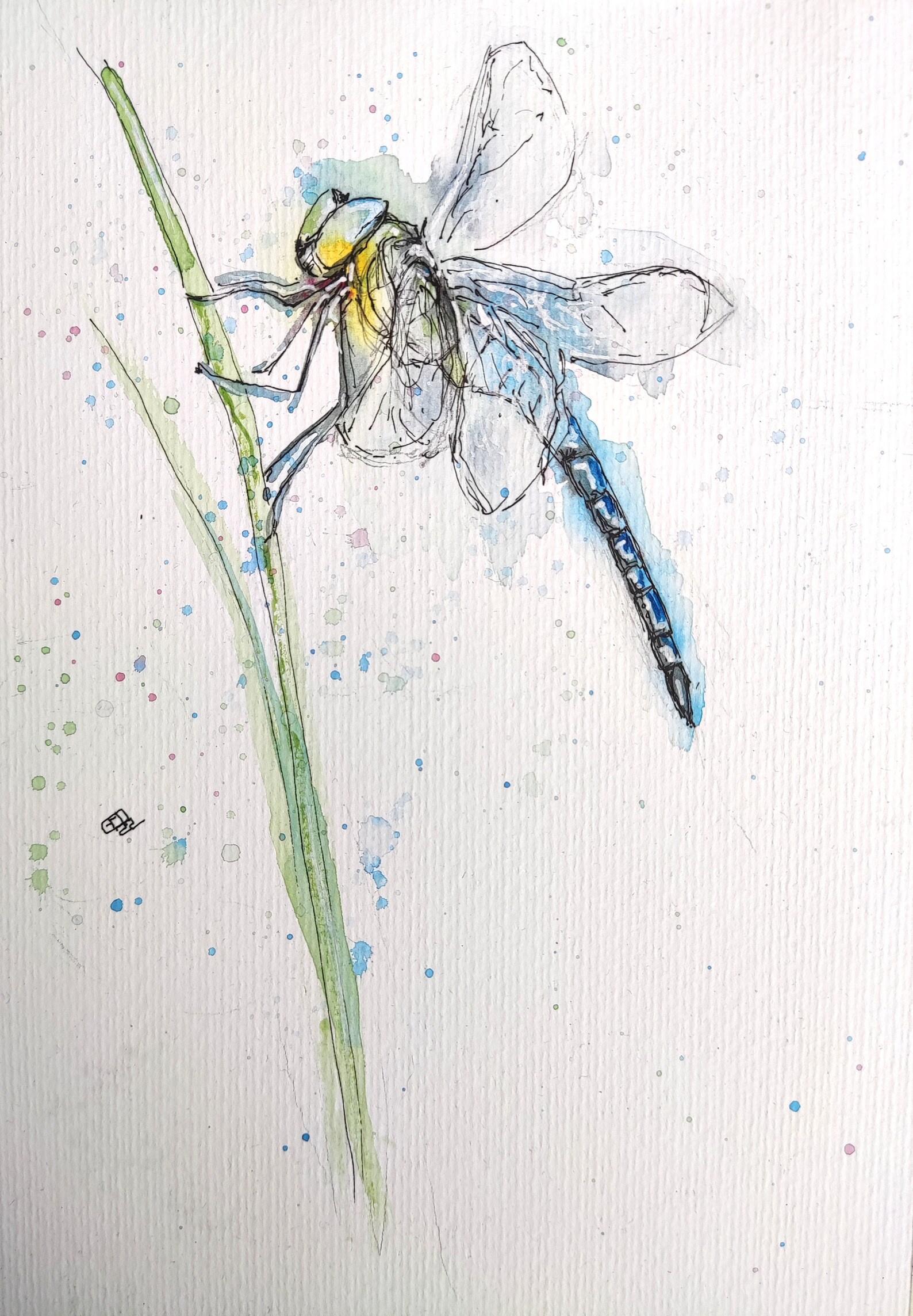 Dragonfly Original Small Abstract Painting in Watercolour and Pen ...