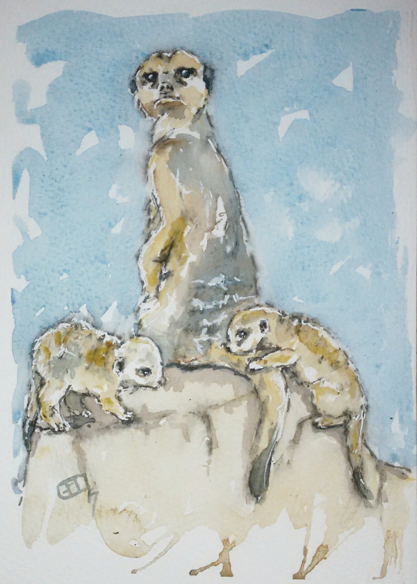 Meerkat Art, an Original Watercolour and Pen Wildlife Painting of a ...
