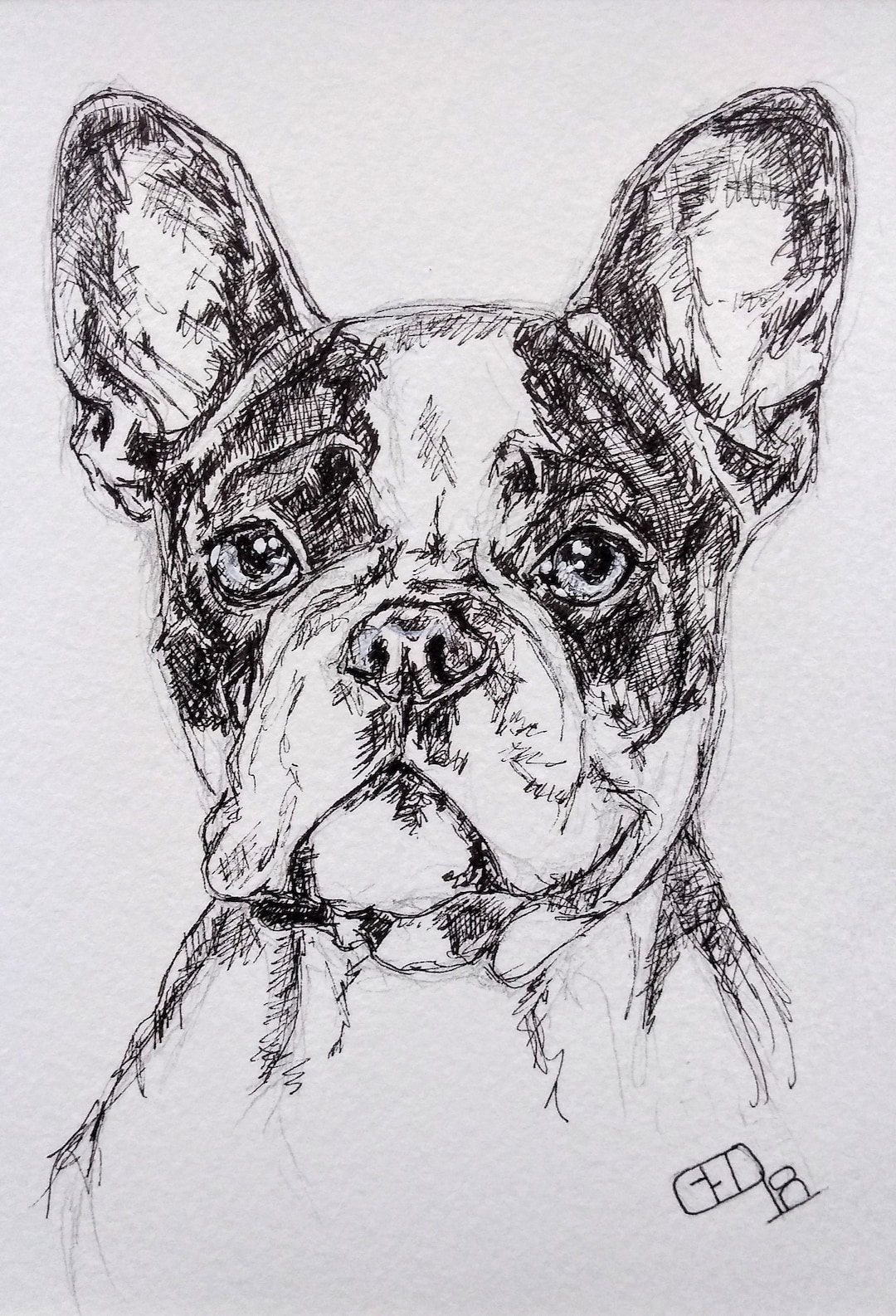 French Bulldog Pen Drawing Original Pet Portrait Sketch, Original Cute ...
