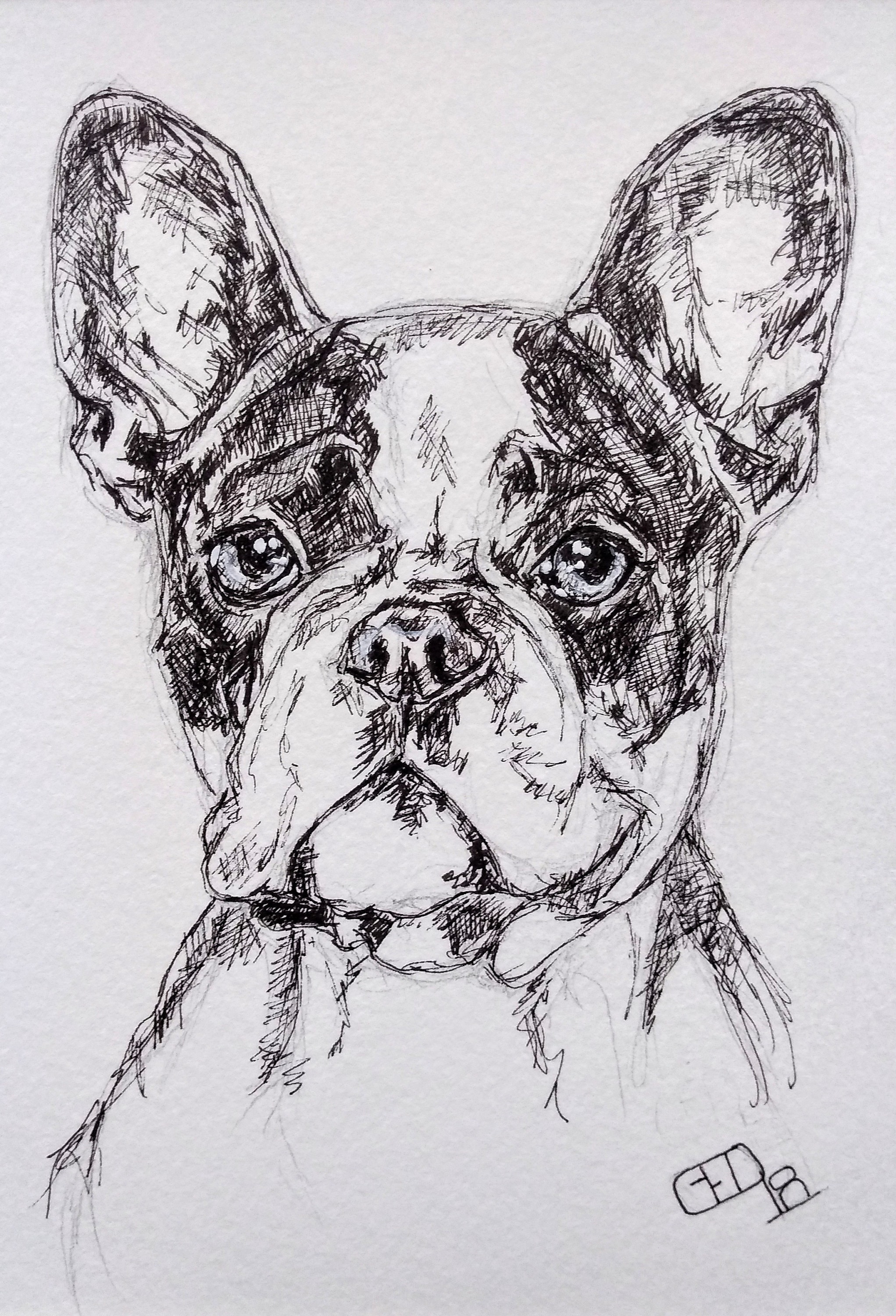 French Bulldog Pen Drawing Original Pet Portrait Sketch, Original Cute ...