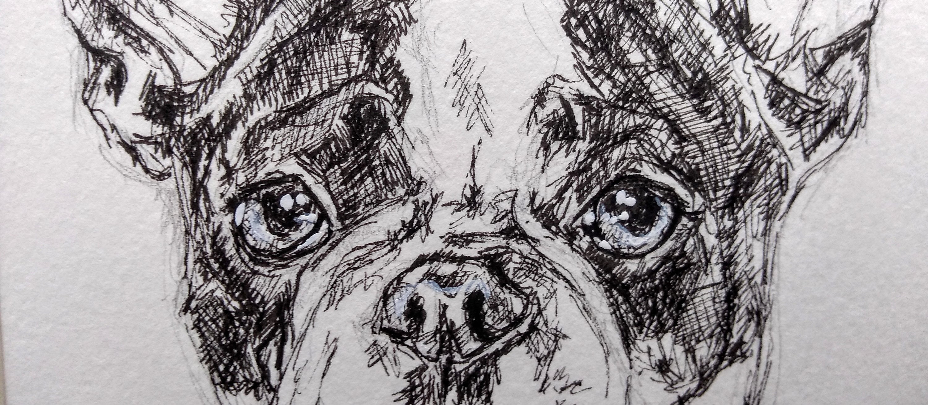 French Bulldog Pen Drawing Original Pet Portrait Sketch - Etsy