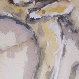 Meerkat Art, an Original Watercolour and Pen Wildlife Painting of a ...