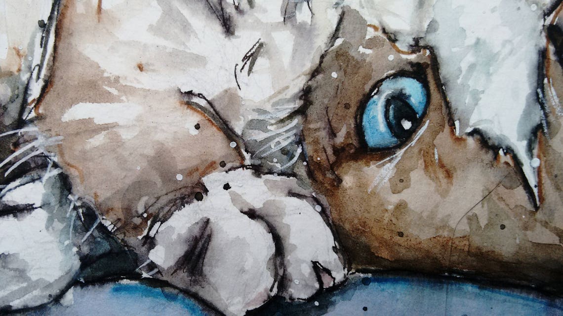 Ragdoll Cat Original Watercolour Painting, One off Cute Kitten Art, an ...