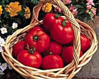 USA SELLER German Strawberry Tomato 25 Seeds HEIRLOOM Solanum - Etsy