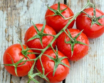 USA SELLER German Strawberry Tomato 25 Seeds HEIRLOOM Solanum - Etsy