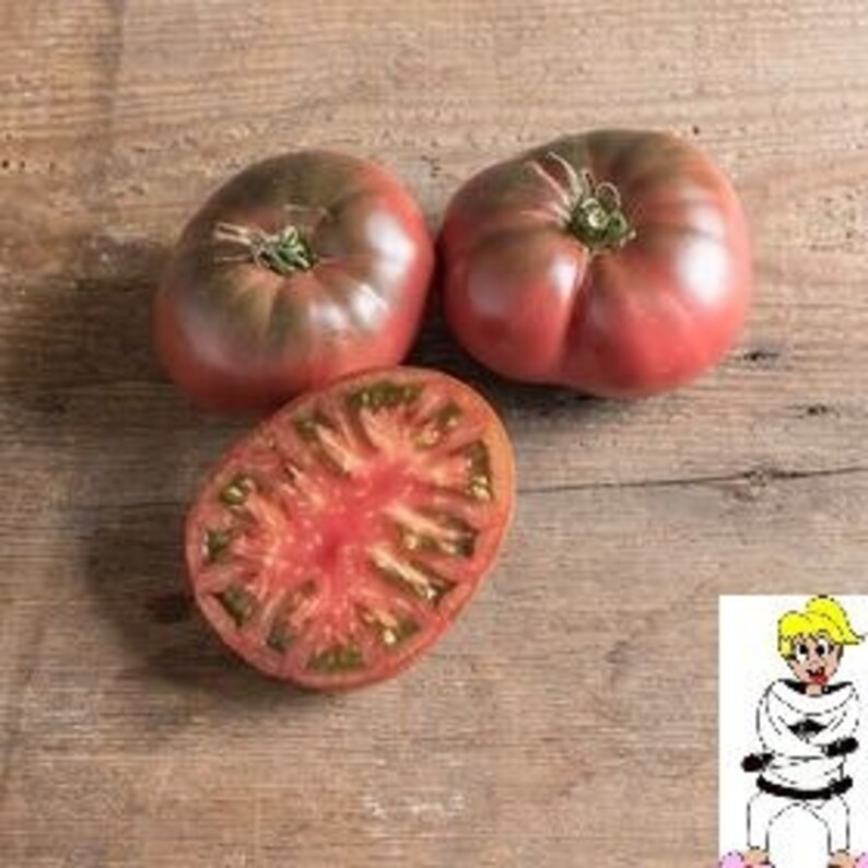 USA SELLER Black Russian Tomato 25 Seeds HEIRLOOM Solanum - Etsy