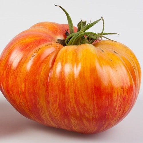USA SELLER Gold Medal Bi-colored Tomato 25 Seeds HEIRLOOM - Etsy
