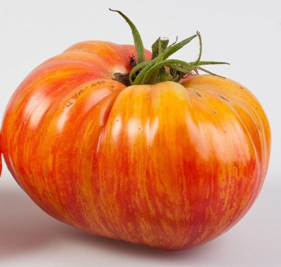 Striped Tomatoes